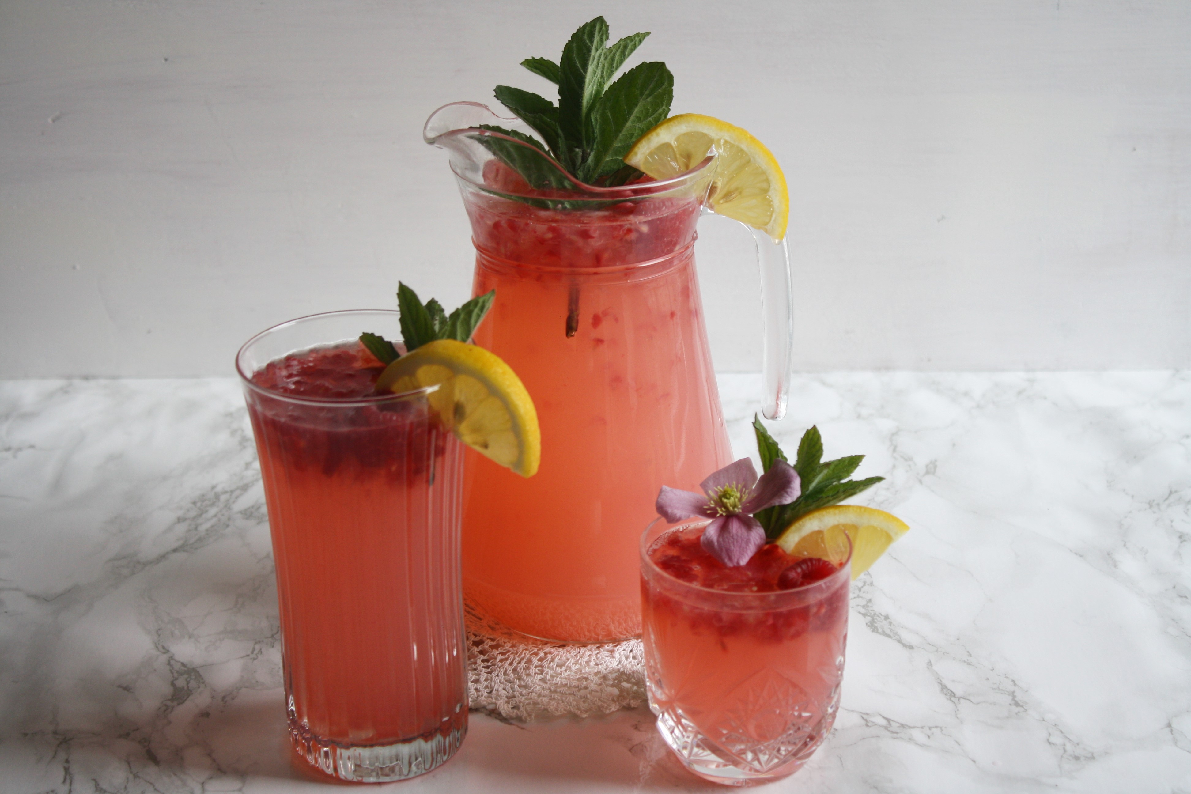 Raspberry Lemonade Fizz – Wish to Dish