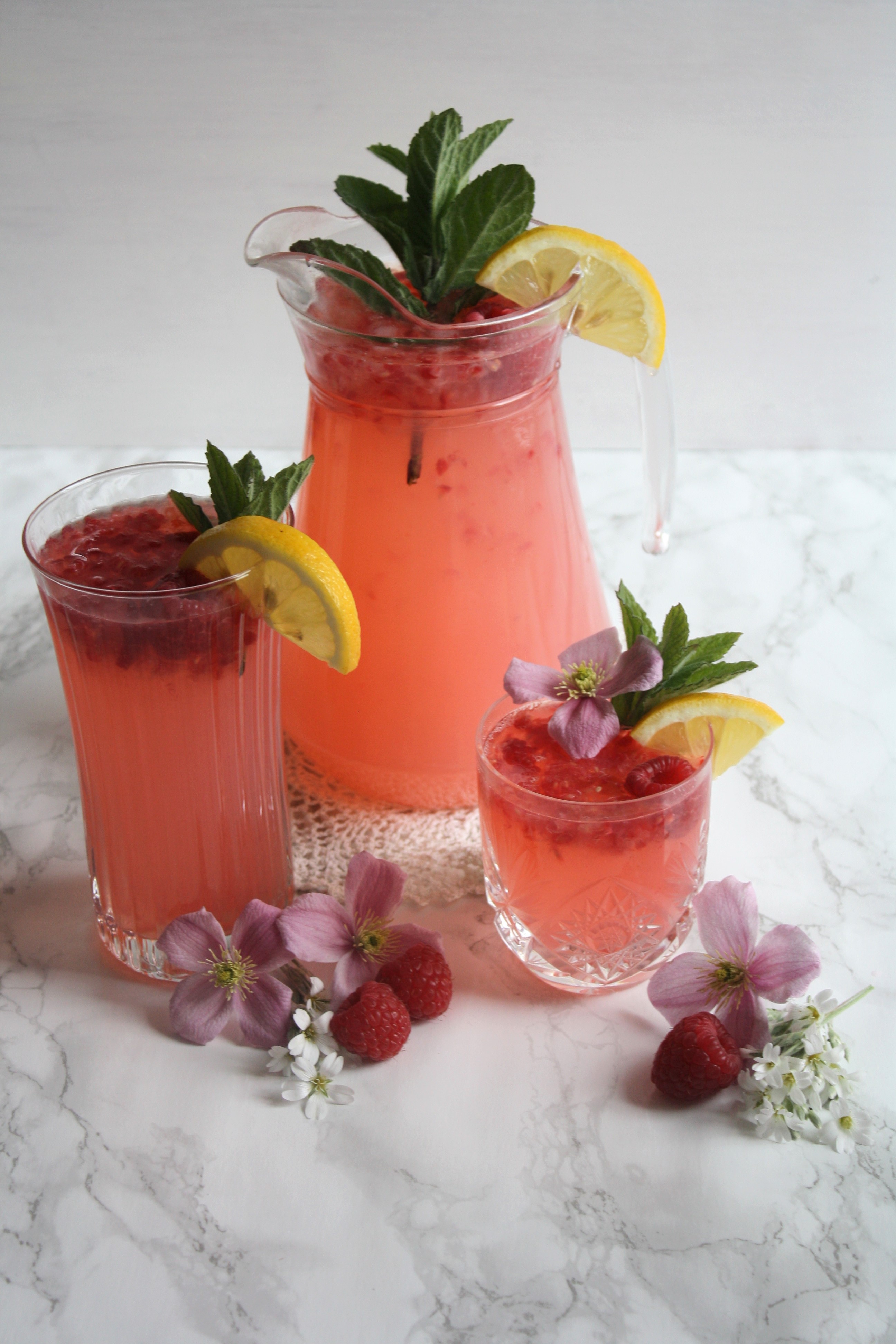 Raspberry Lemonade Fizz – Wish to Dish