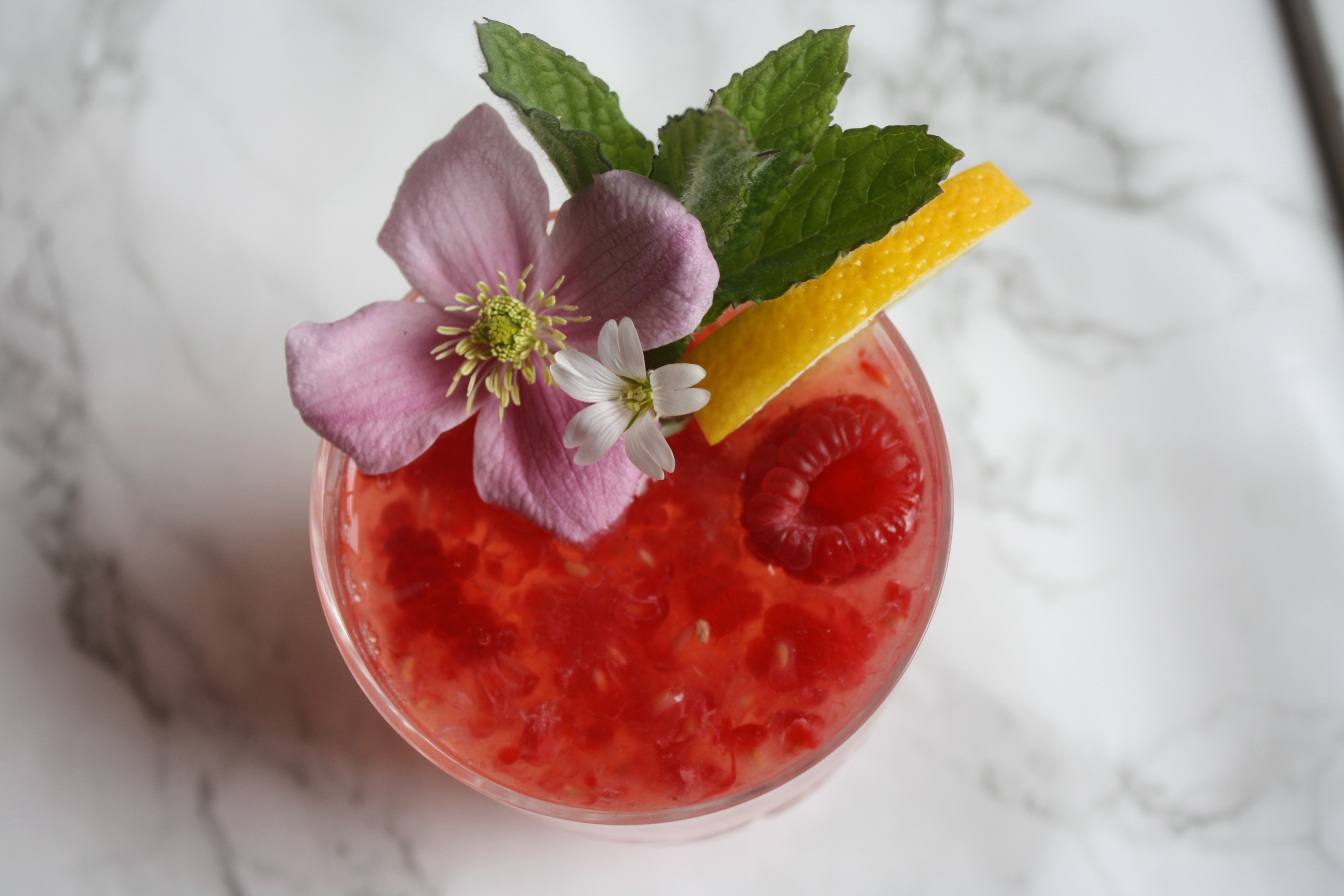 Raspberry Lemonade Fizz – Wish to Dish